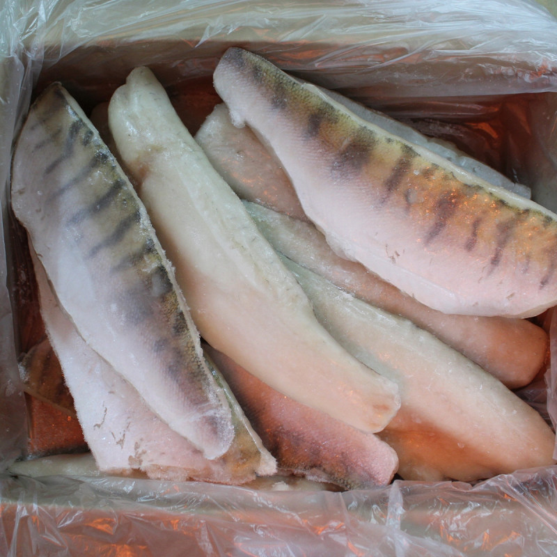 Sandacz filet mrożony ze skórą 5 kg - O-fish