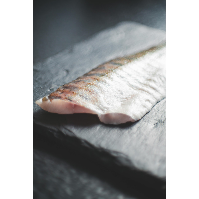 Sandacz filet mrożony ze skórą 5 kg - O-fish
