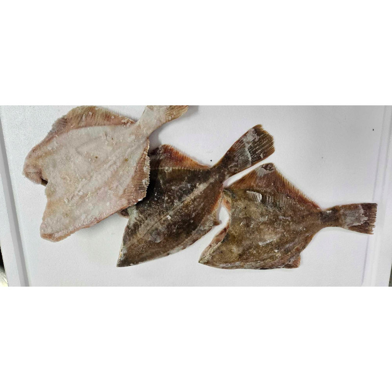 Flądra tusza 2kg - O-fish